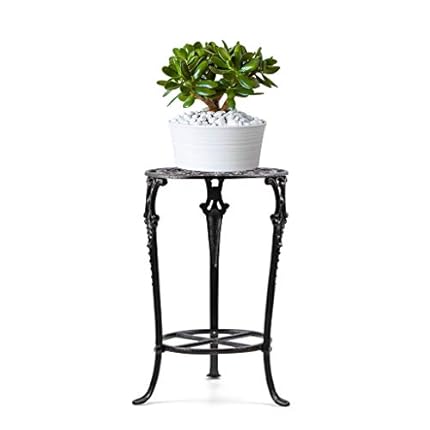 The 30 Best Cast Iron Plant Stands of 2025 [Verified] - Cherry Picks