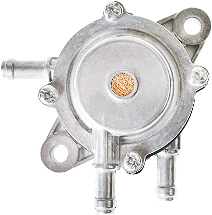 Amazon.com: 491922 Fuel Pump for Briggs Stratton 808656 691034 692313 ...