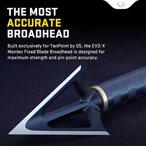 Snapklik.com : TenPoint EVO-X Montec Fixed Blade Broadhead - Pack Of 3 ...