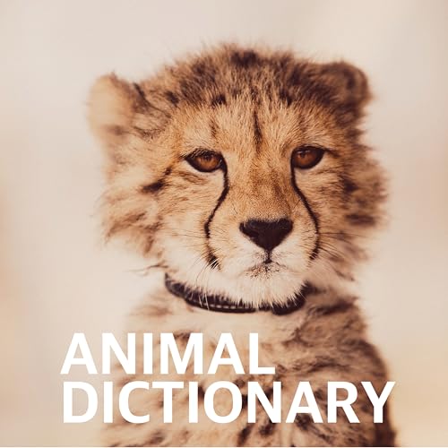 Amazon.co.jp: 나의 삶의 이유가 되어준 나의 팻에게 : ANIMAL DICTIONARY: Digital Music
