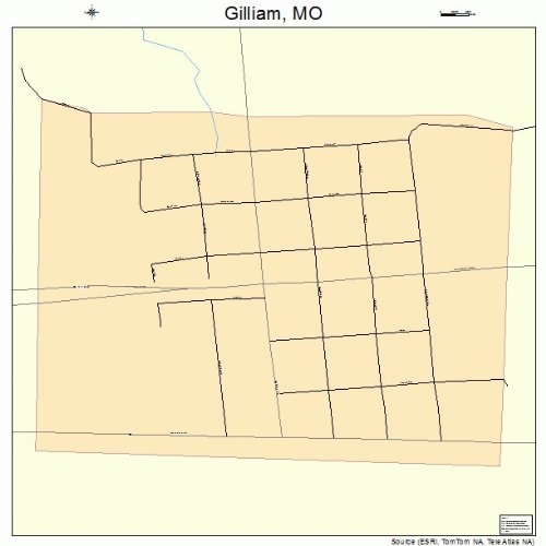 Large Street & Road Map of Gilliam, Missouri MO - Printed poster size ...
