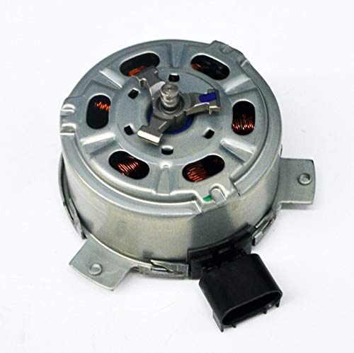 Amazon.com: General Motors 20903476, Engine Cooling Fan Motor : Automotive