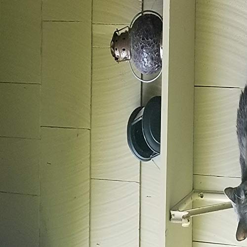 Play What If No One Was Looking? by Yan Meen on Amazon Music