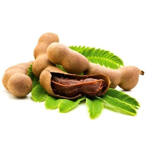 Tamarindo tailandés fresco 16 onzas – Yaxa Guatemala
