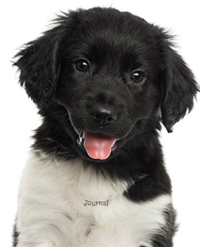 Journal: Stabyhoun Puppy: Publications, Dreamflight: 9781717884176 ...