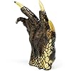 Amazon.com: Taxidermy Preserved Alligator Claw 3-5" | 1 Piece : Home ...