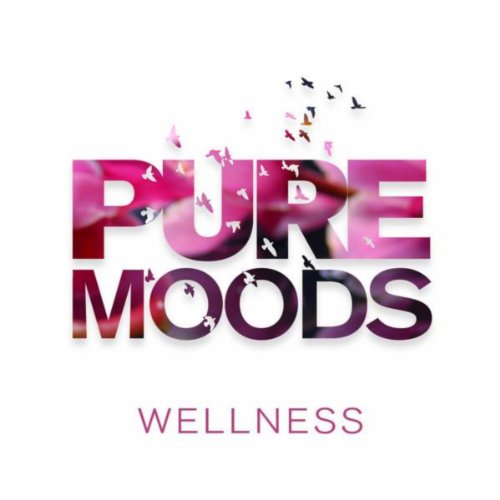 Amazon.com: Pure Moods: Wellness : VARIOUS ARTISTS: Digital Music