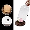 Amazon.com | Smoking Cloche with Wood Base for Smoking Cocktail Dessert ...