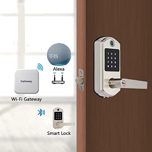 The 25 Best WiFi Gate Locks of 2024 [Verified] - Cherry Picks