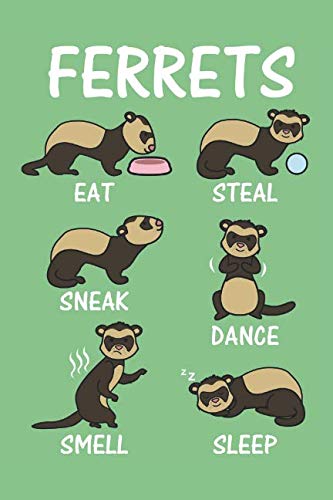 I love Ferrets: Notebook for Ferret lovers: Journal, Ferret ...