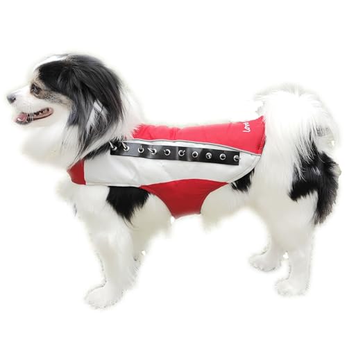 Dog Spike Vest – The 15 best products compared - Wild Explained