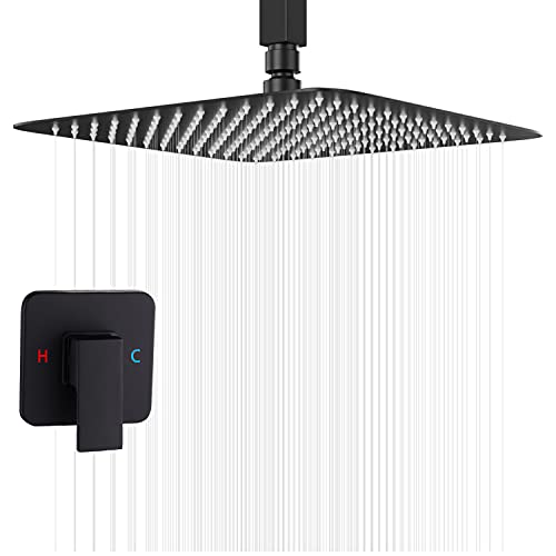 Regadera De Plafón - Ferreteria Y Herramientas