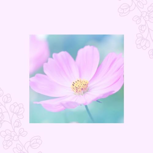 Hot Chocolate by Riduan Richie on Amazon Music - Amazon.com