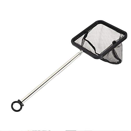SJT® Stainless Steel Catch Fish Net Square Frame Black Strong : Amazon ...