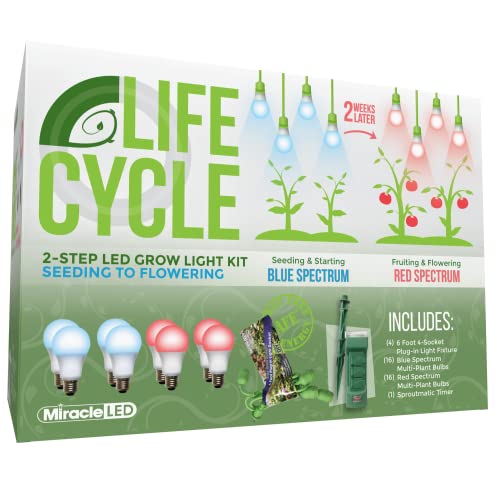 Miracle LED Plant Life Cycle 4-Socket Synchronized Grow Light Kit with ...