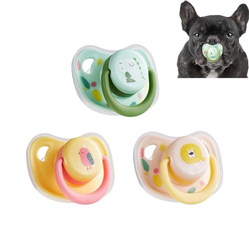 10 Best Pacifiers for Kittens That Will Keep Your Feline Friend Happy ...