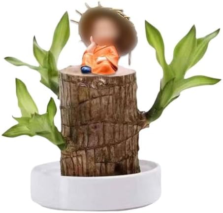 Amazon.com : Lucky Money Desktop Tree with Water Tray and Panda ...