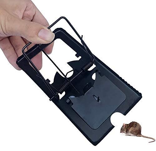 RODEX Metal Snap Trap 2 pcs Pack : Amazon.in: Garden & Outdoors