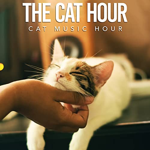 Play The Cat Hour by Cat Music Hour on Amazon Music
