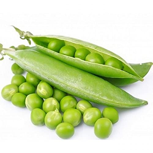 Green Peas Seeds Hybrids F1 Vegetable Seeds for Home Garden for ...