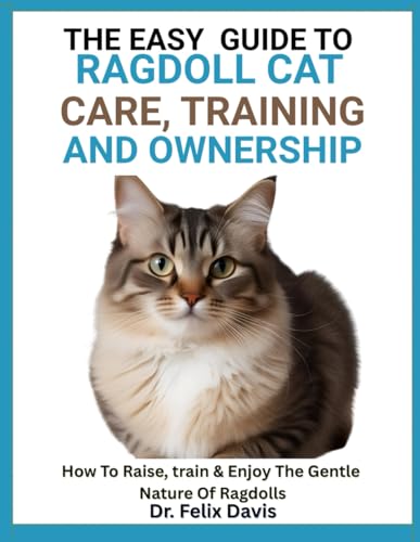 Grooming A Ragdoll Cat: Fluff Maintenance – 5 Expert Tips