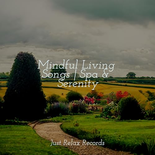 Spiele Mindful Living Songs | Spa & Serenity von Anxiety Relief, Zen & Massage Therapy Music auf ...