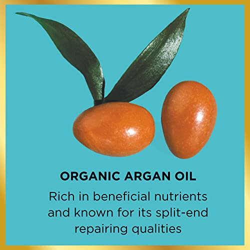 The 13 Best HASK Hair Oils of 2023 [Verified] - Cherry Picks