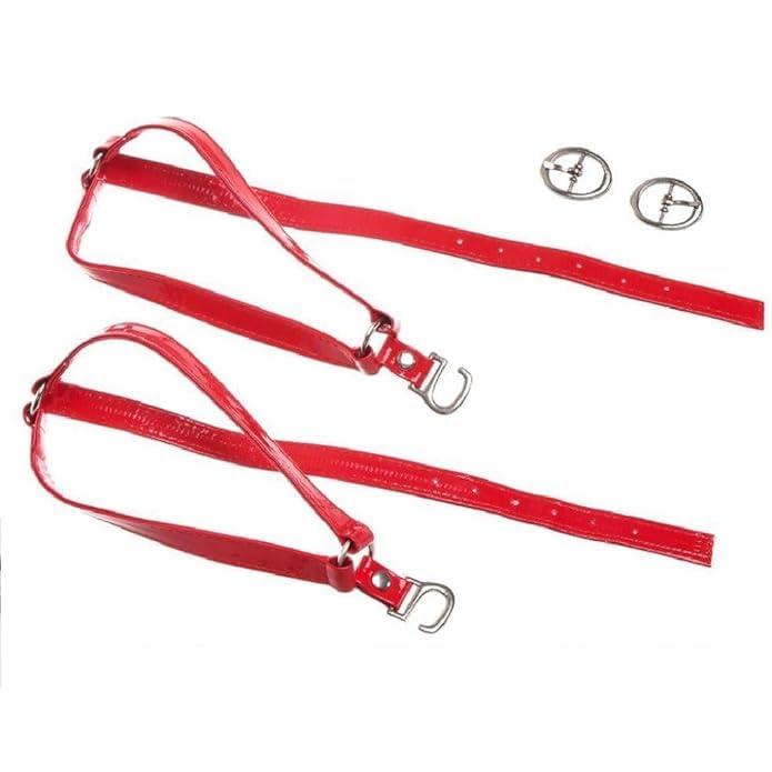 Buy BIRZAR Detachable Shoe Straps for Heels Women Anti Slip Shoe Belt ...