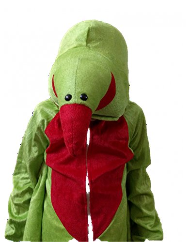 Buy Green Colored Parrot Fancy Dress Costume for Kids | Bird Costume ...