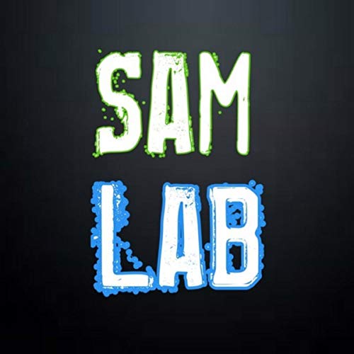 Amazon.com: Sam Lab : Sam Ali: Digital Music