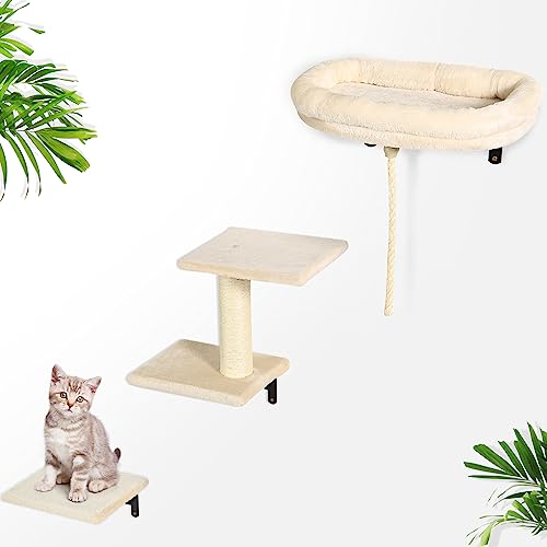Roaring Reviews: Top 10 Mounted Cat Products for Your Feline Friend ...