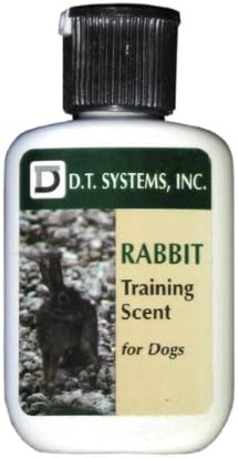 How To Train A Dog To Scent Track