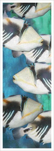 Huma Picasso Triggerfish 1 Art Print Poster by Melinda Bradshaw ...