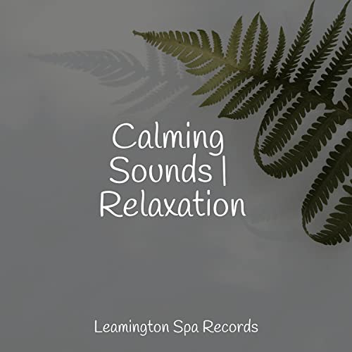 Play Calming Sounds | Relaxation by Preschool Kids, Yoga Sounds ...