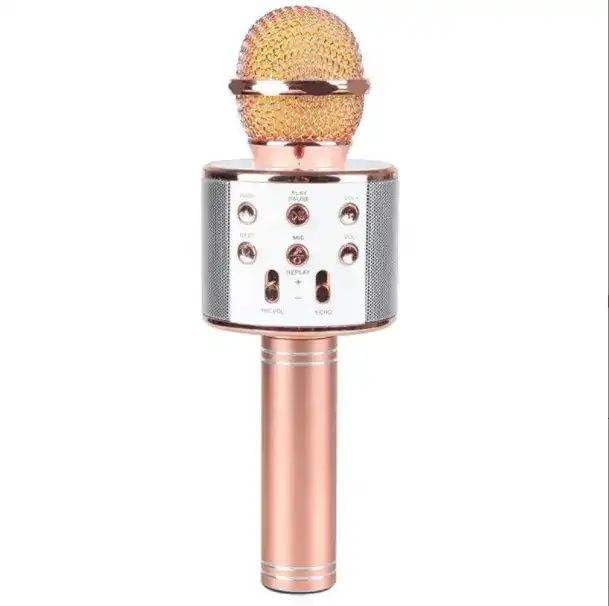 Kart In Box - Kids Rechargeable Electronic Toy Mike for Singing Girls ...