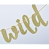 Amazon.com: Born Two Be Wild Glitter Banner, Two Years Old Banner, 2nd ...