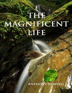 THE MAGNIFICENT LIFE: Anthony Norvell: Amazon.com: Books