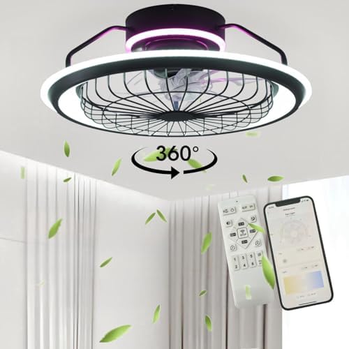 19" Modern Ceiling Fans with Lights and Remote,360 ° rotating ceiling ...