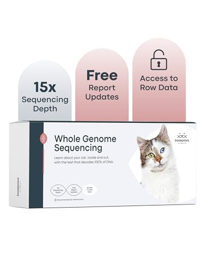 5 Cat DNA Test Kits: DNA Testing Made Simple