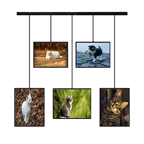 Exhibit Frames – The 16 best products compared - Product guide - The ...