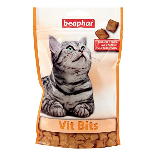 Bitiba Katze – Die 16 besten Produkte im Vergleich - HundeINFOPortal