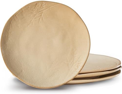 Amazon.com | Abode Homewares TarHong Matte Terra Cotta Dinner Plate, 10 ...