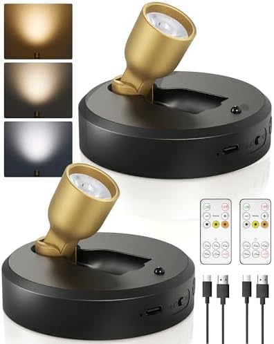 Amazon.com: EZVALO Spotlight Indoor with Remote, 4000mAh Rechargeable ...