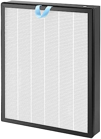 Amazon.com: DR-HAP002 True HEPA Replacement Filter Compatible with Dreo ...