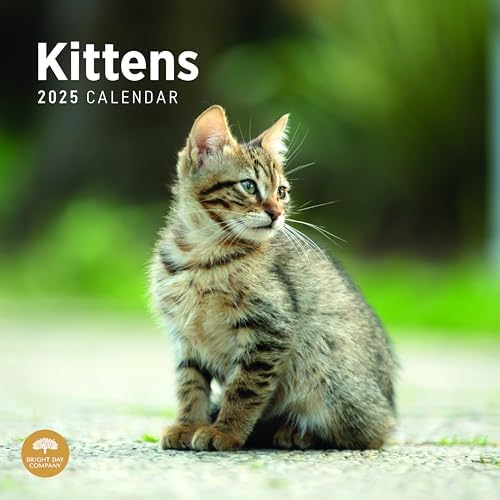 2025 Kittens Monthly Wall Calendar by Bright Day, 12 x 12 Inch Cute Cat ...
