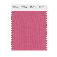 Pantone Smart 121107 Tcx Color Swatch Card Pink Champagne