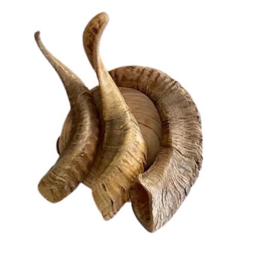 Chien Mouton – Les 15 meilleurs produits dans la comparaison - Guide ...