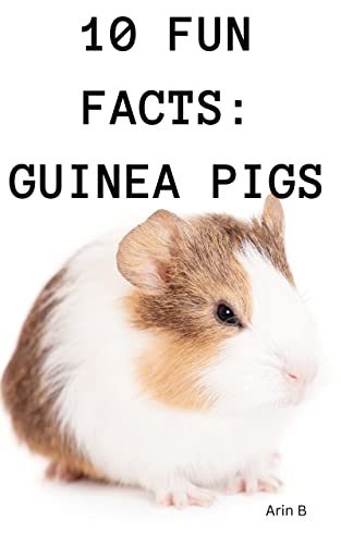10 Fun Facts: Guinea Pigs eBook : B, Arin: Amazon.co.uk: Books