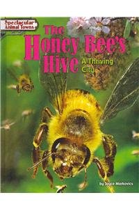 Spectacular Animal Towns: Person, Stephen, Markovics, Joyce, Reingold ...