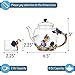 Amazon.com | BTaT- Small Glass Tea Set, 2 Fancy Cups, Tea Pot Glass ...